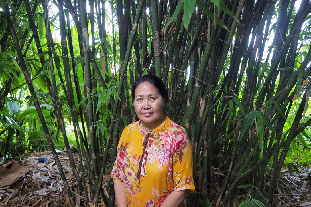 Pande Ketut Diah Kencana, Peneliti Bambu Tabah untuk Konservasi dan ...