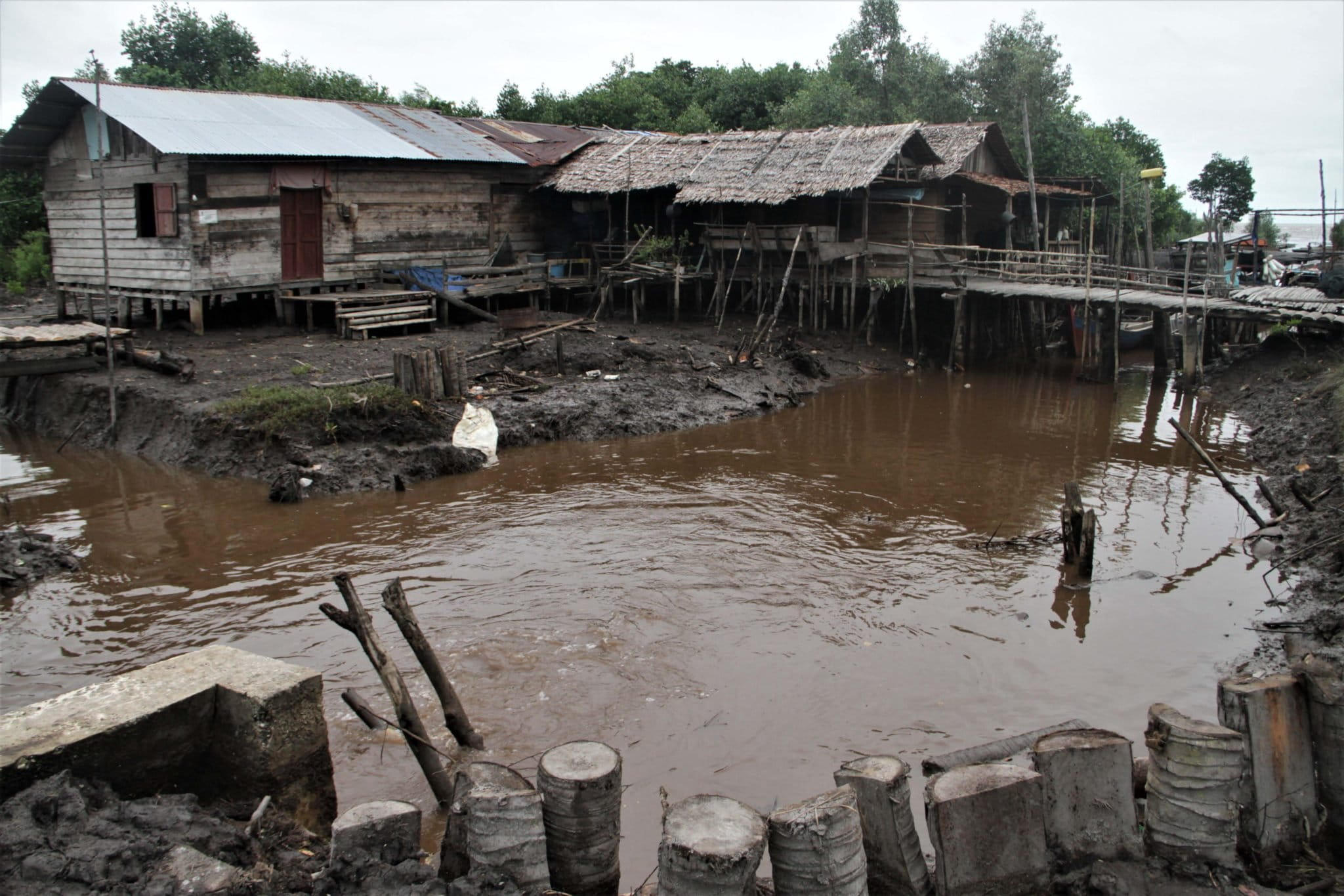 Kisah Warga Memanfaatkan Kayu Bakau Secara Turun-Temurun