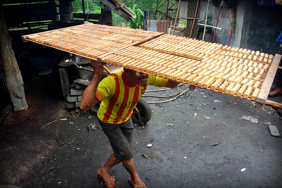 Pernah Jadi Andalan Sumatera Selatan, Tanaman Gambir Kini Ditinggalkan