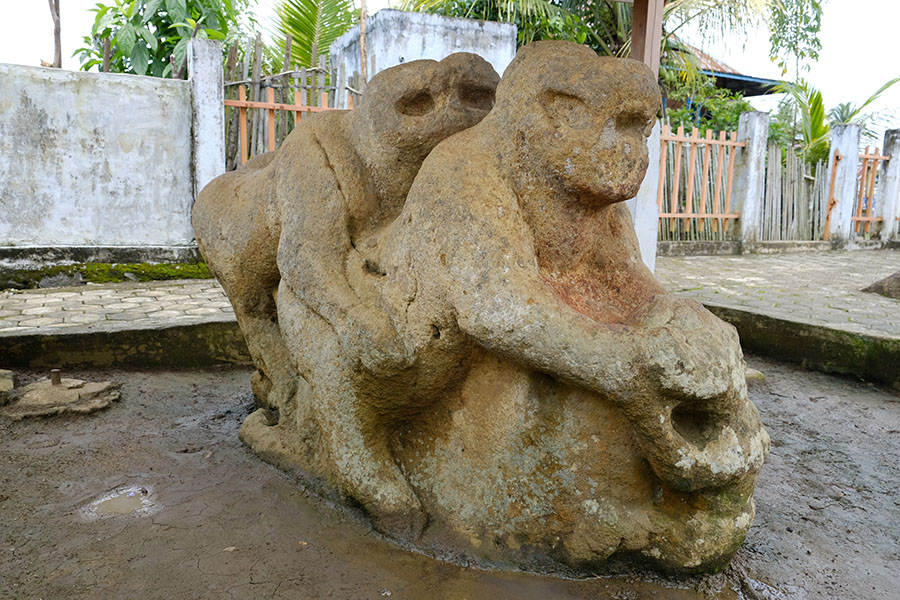 Lanskap Kopi dan Lestarinya Peradaban Megalitikum Pasemah