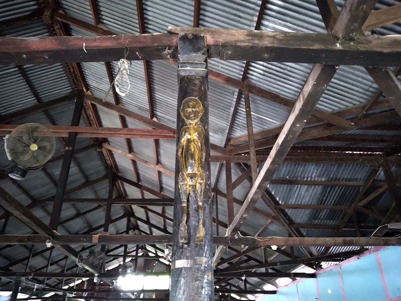 Sowang, Kayu Endemik Papua yang Digunakan Sejak Zaman Prasejarah