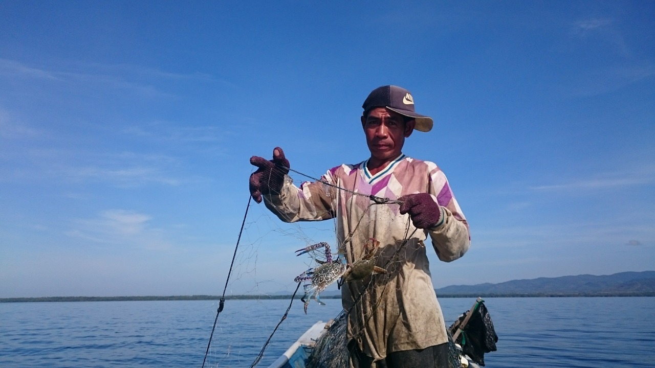 Kepiting dan Rajungan: Enak Rasanya, Unggulan Ekspor Indonesia ...