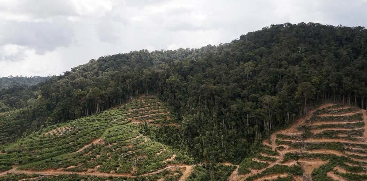 ‘Rujuk’ Kerja Sama Iklim Indonesia-Norwegia