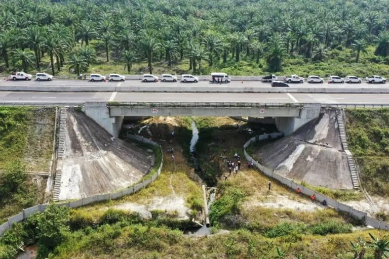 Jalan Lingkar Duri Barat Lanjut, Bagaimana Nasib Gajah Balai Raja?