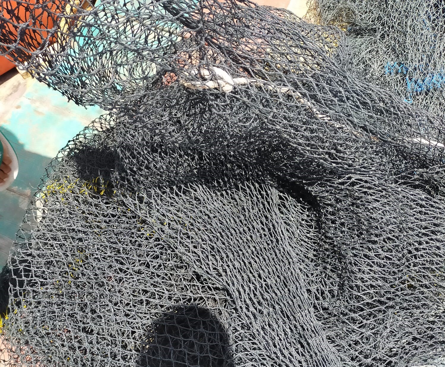 Aturan Jaring Tarik Berkantong Butuh Sosialisasi