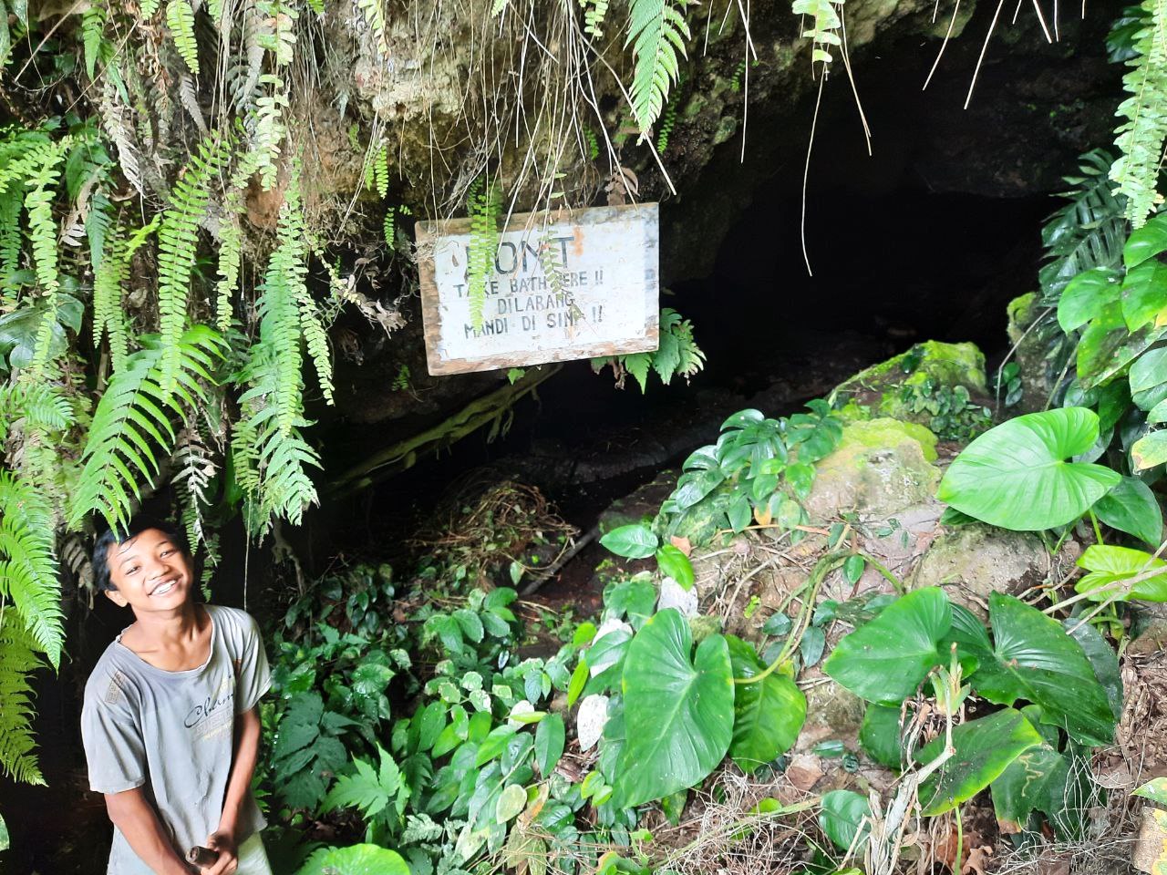 Melihat Cara Warga Lindungi Hutan Sakral Desa Les