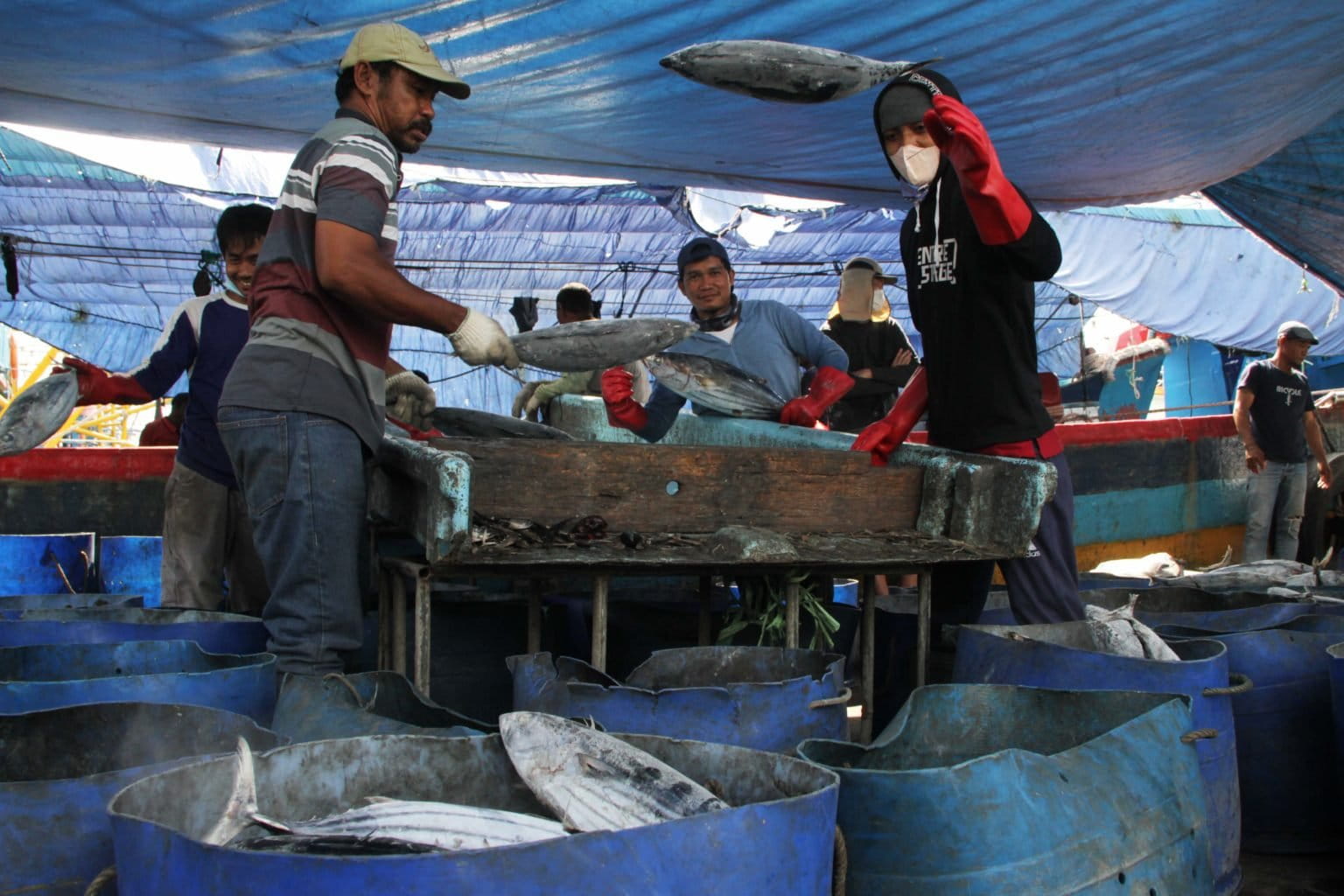 Penangkapan Ikan Terukur Dijanjikan Mulai Beroperasi Per 1 Januari 2025