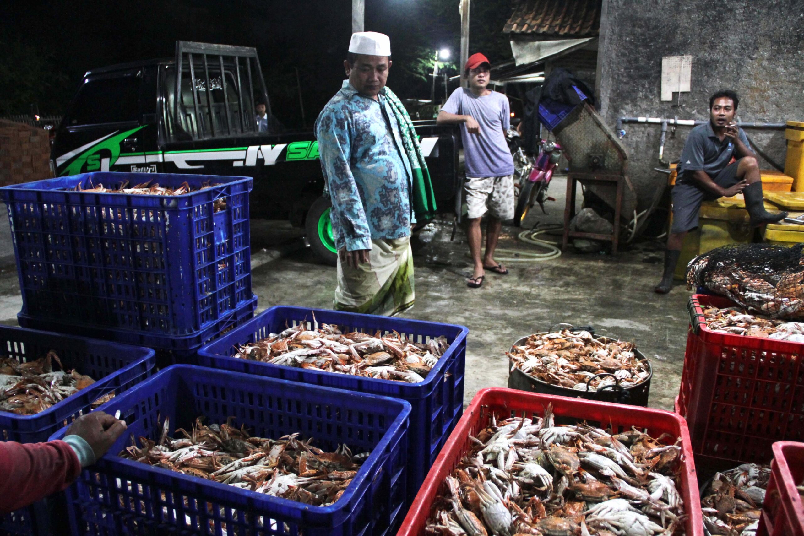 Rajungan: Populer di Luar Negeri, Terancam di Dalam Negeri