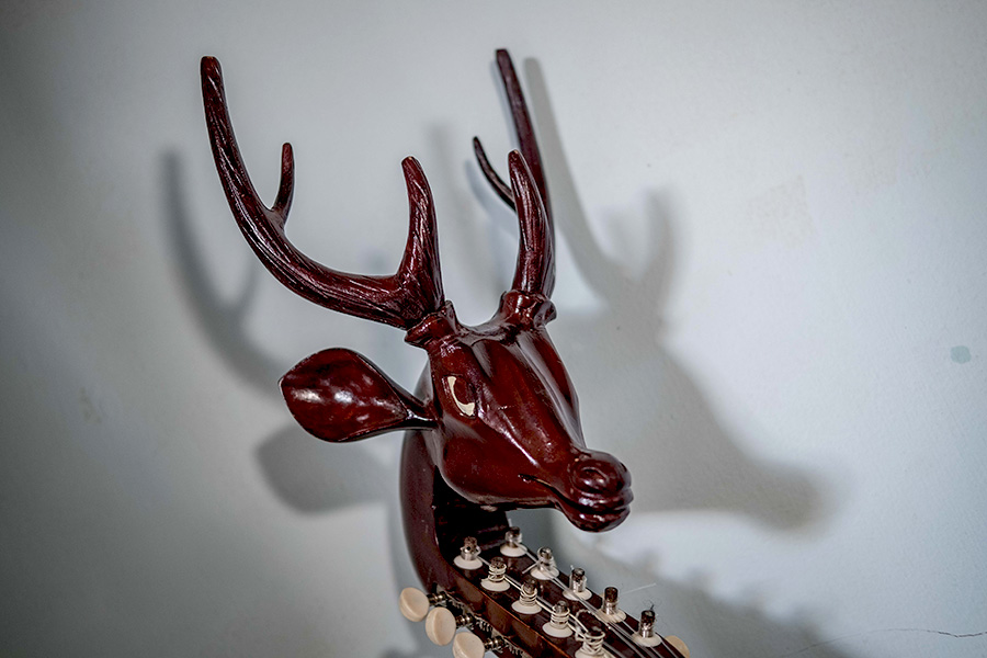 Dambus dan Kelestarian Rusa Sambar di Pulau Bangka