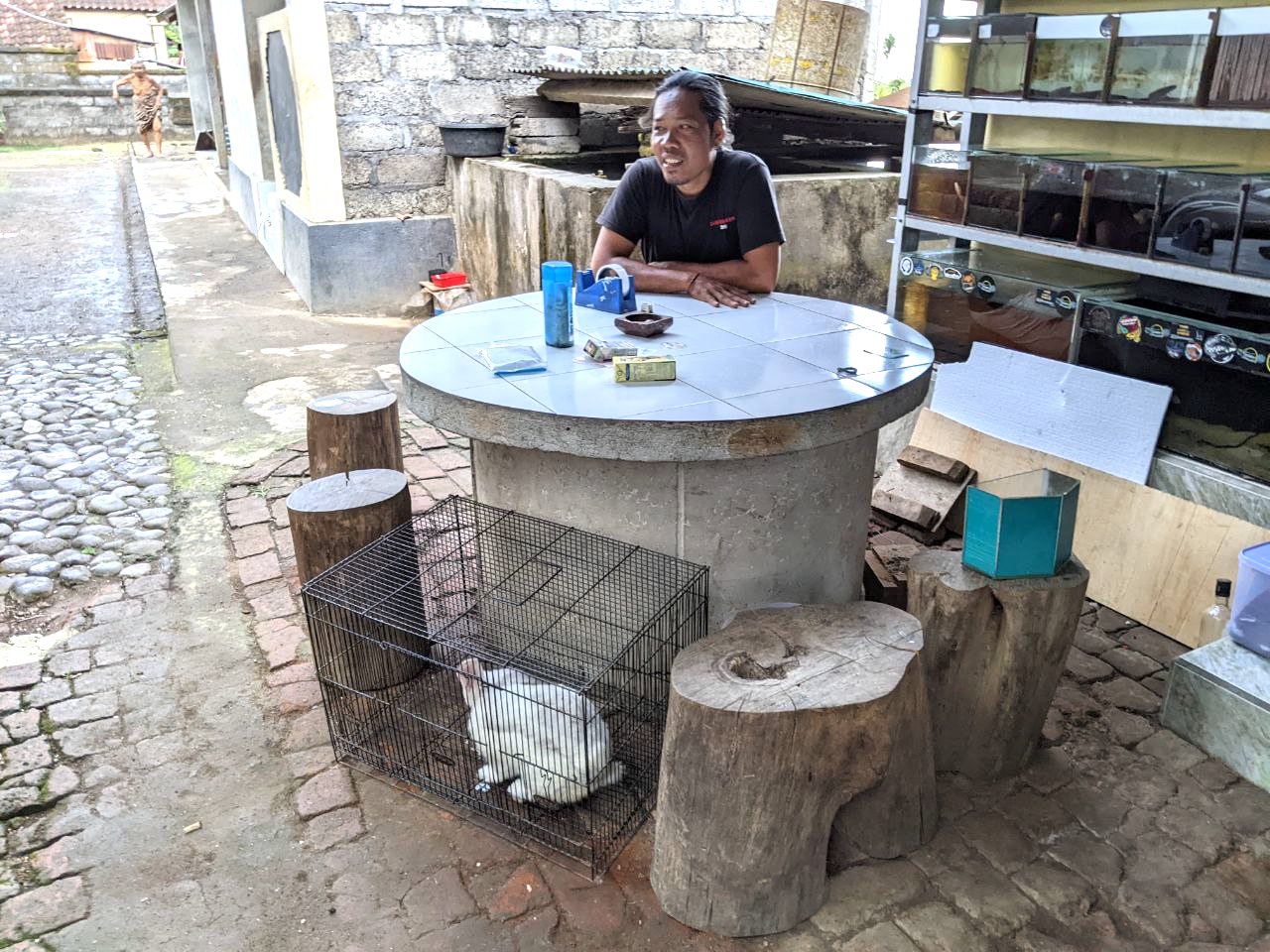 Teba Modern, Cara Desa Celuk Bali Bebas Sampah Organik