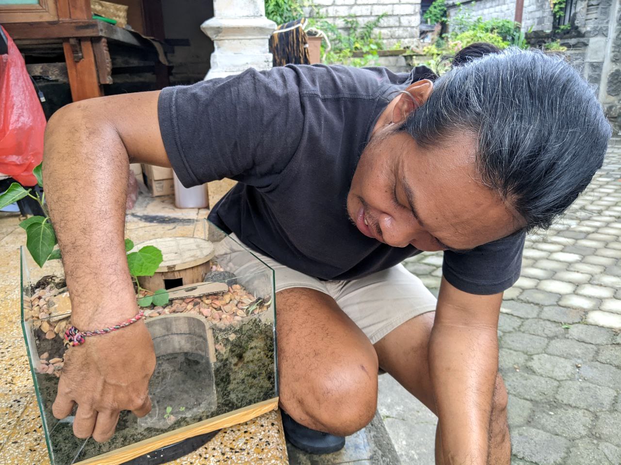Teba Modern, Cara Desa Celuk Bali Bebas Sampah Organik