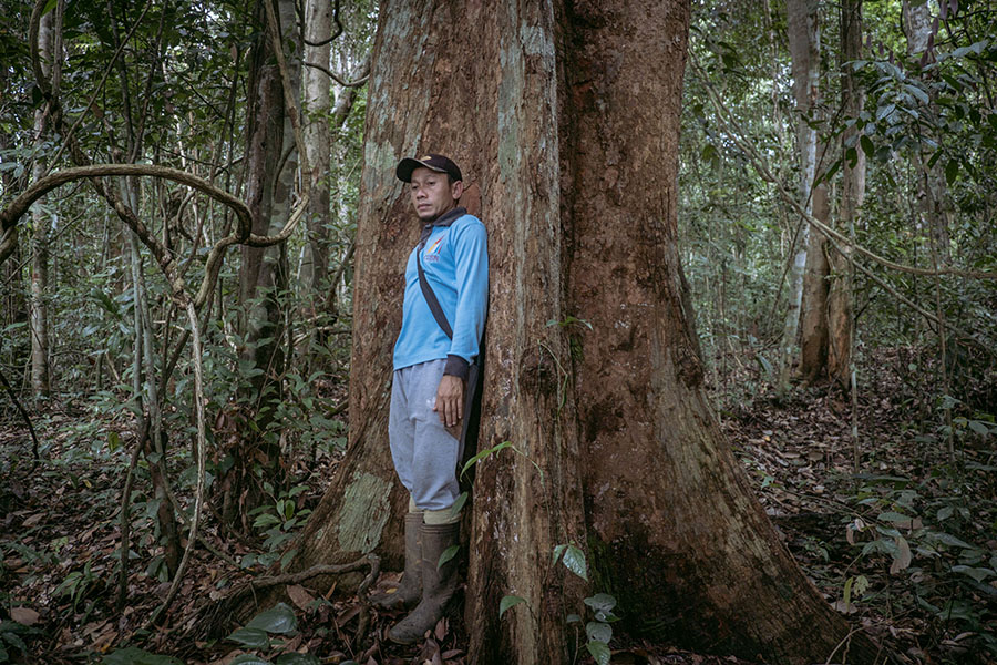 Mitos yang Menjaga Kelestarian Rimba Mambang