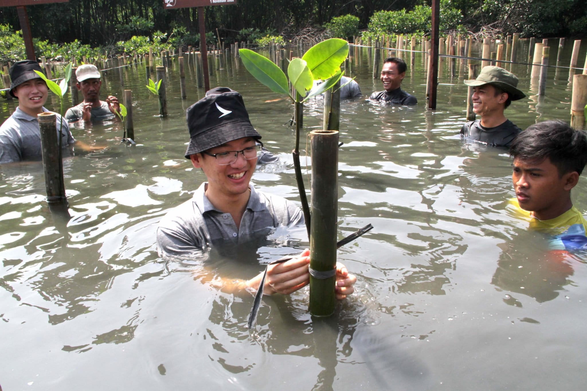 Mangrove, Benteng Terakhir Ketahanan Pangan Nelayan yang Terancam