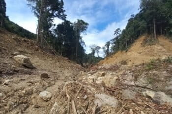 Ketika Tambang Nikel ‘Kuasai’ Hutan Halmahera Tengah