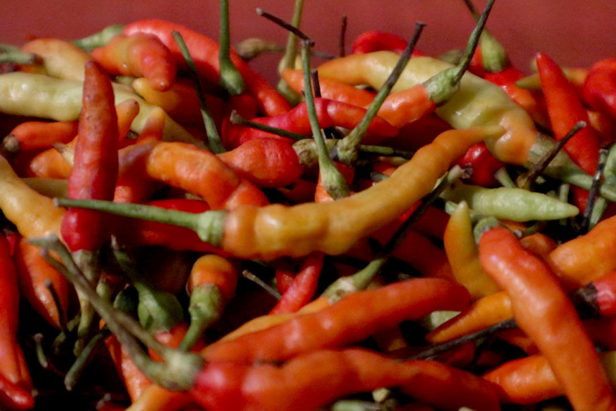 Asal Mula Masakan Rica-rica Khas Manado dan Sumber Pedasnya
