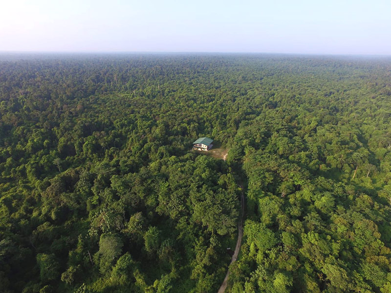 Beban Berat Taman Nasional Tesso Nilo, Perambahan hingga Kebun Sawit Ilegal