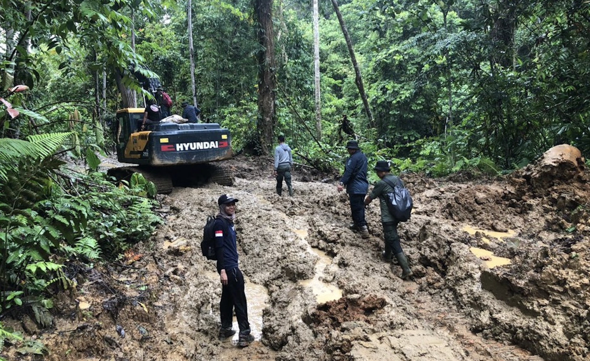 Penyelundupan Satwa Masih Terjadi. Di Gorontalo, Gakkum LHK Amankan Jenis Satwa Endemik Kalimantan