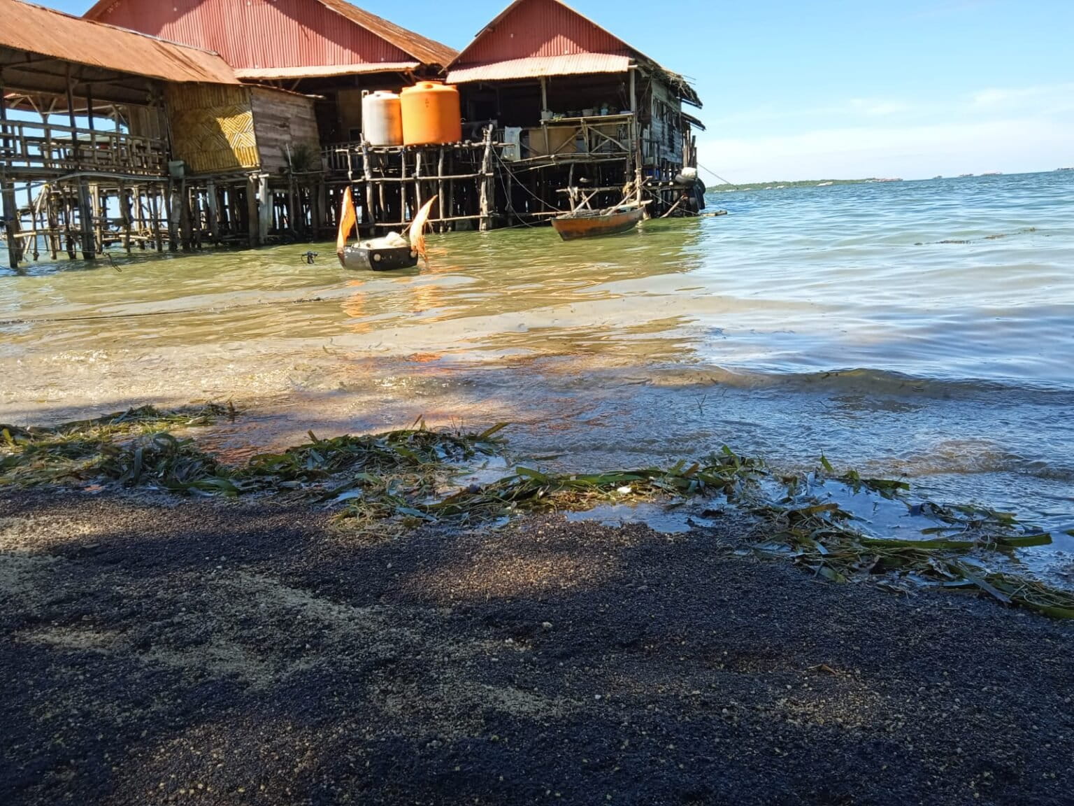 Tak Ada Solusi: Minyak Hitam Kembali Cemari Laut Bintan, Ekosistem Rusak