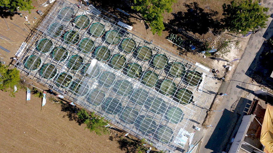 Bioflok, Teknologi Budidaya Ikan Lebih Sehat dan Menjanjikan