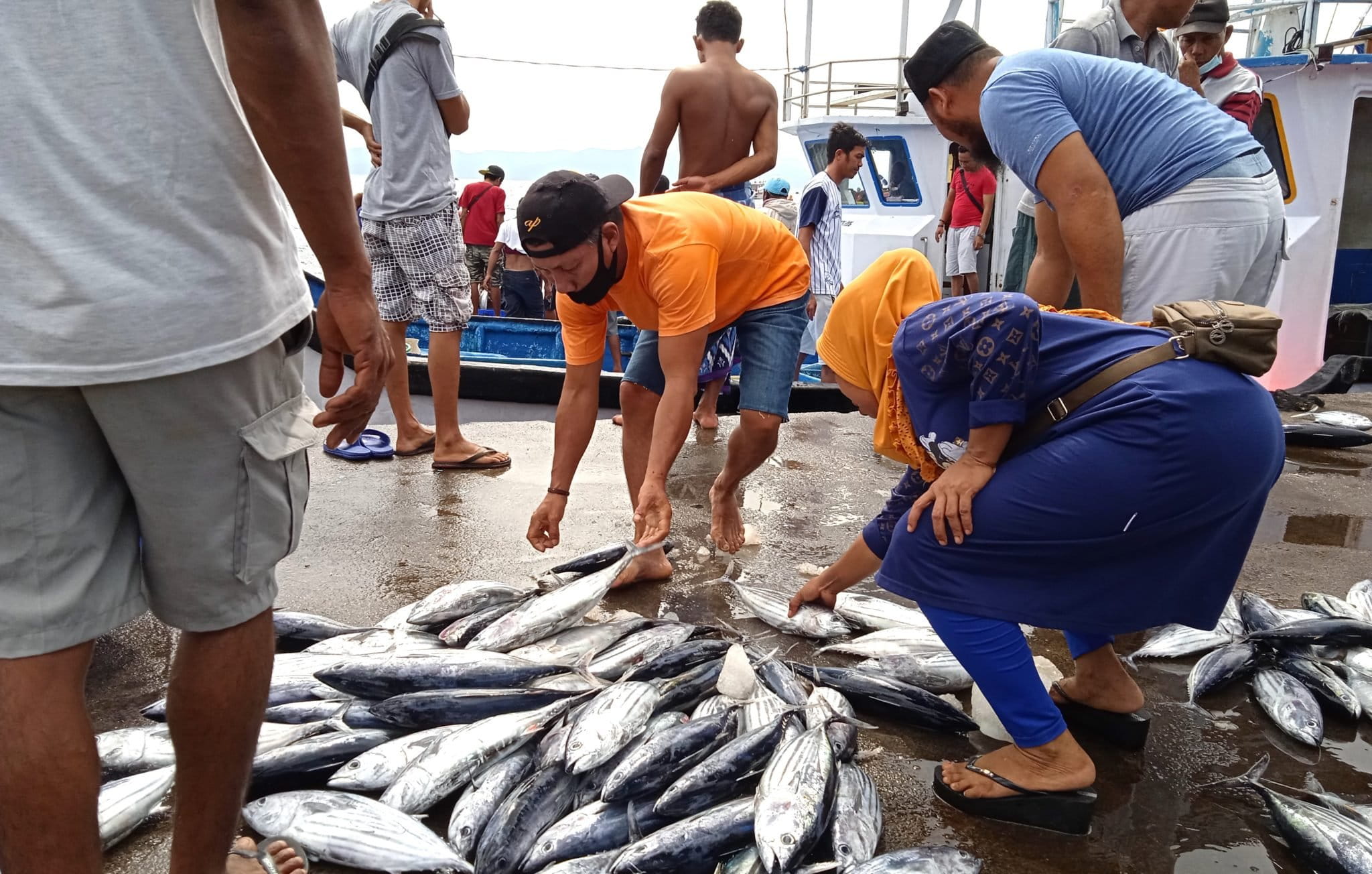 Jerit Nelayan Tuna Ternate di Tengah Krisis Iklim