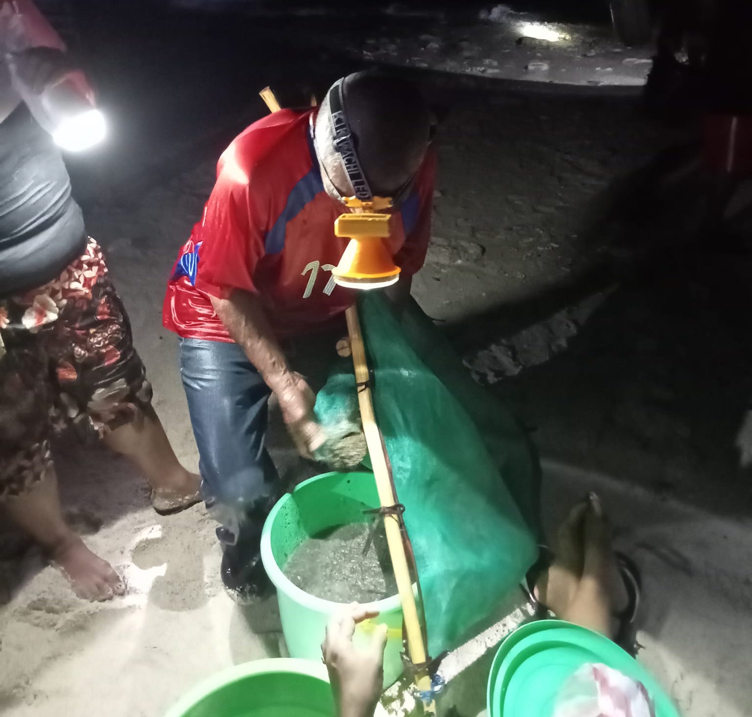 Unik dan Meriahnya Tradisi Berburu Timba Laor di Pesisir Pulau Ambon