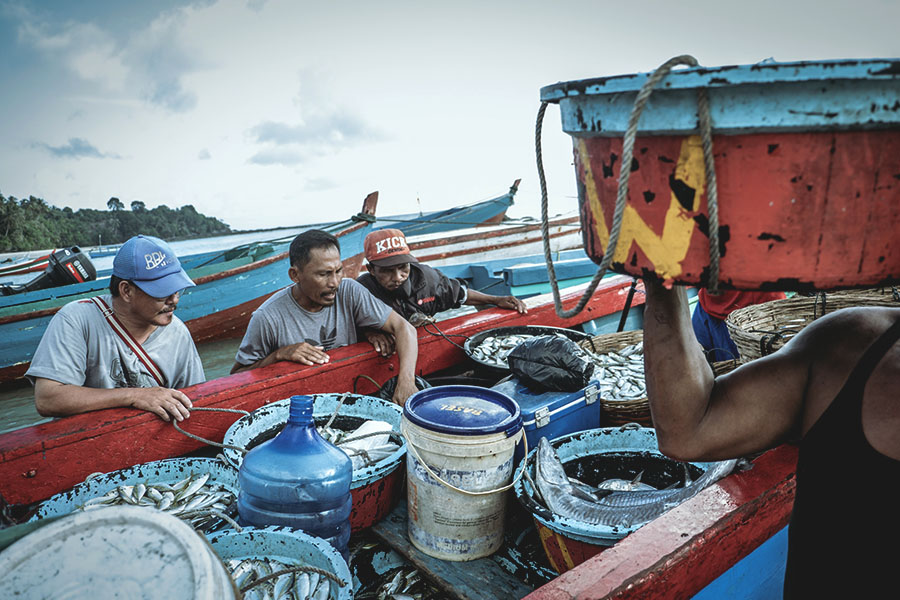 Resmi, 1 Januari 2024 Penangkapan Ikan Terukur Dimulai