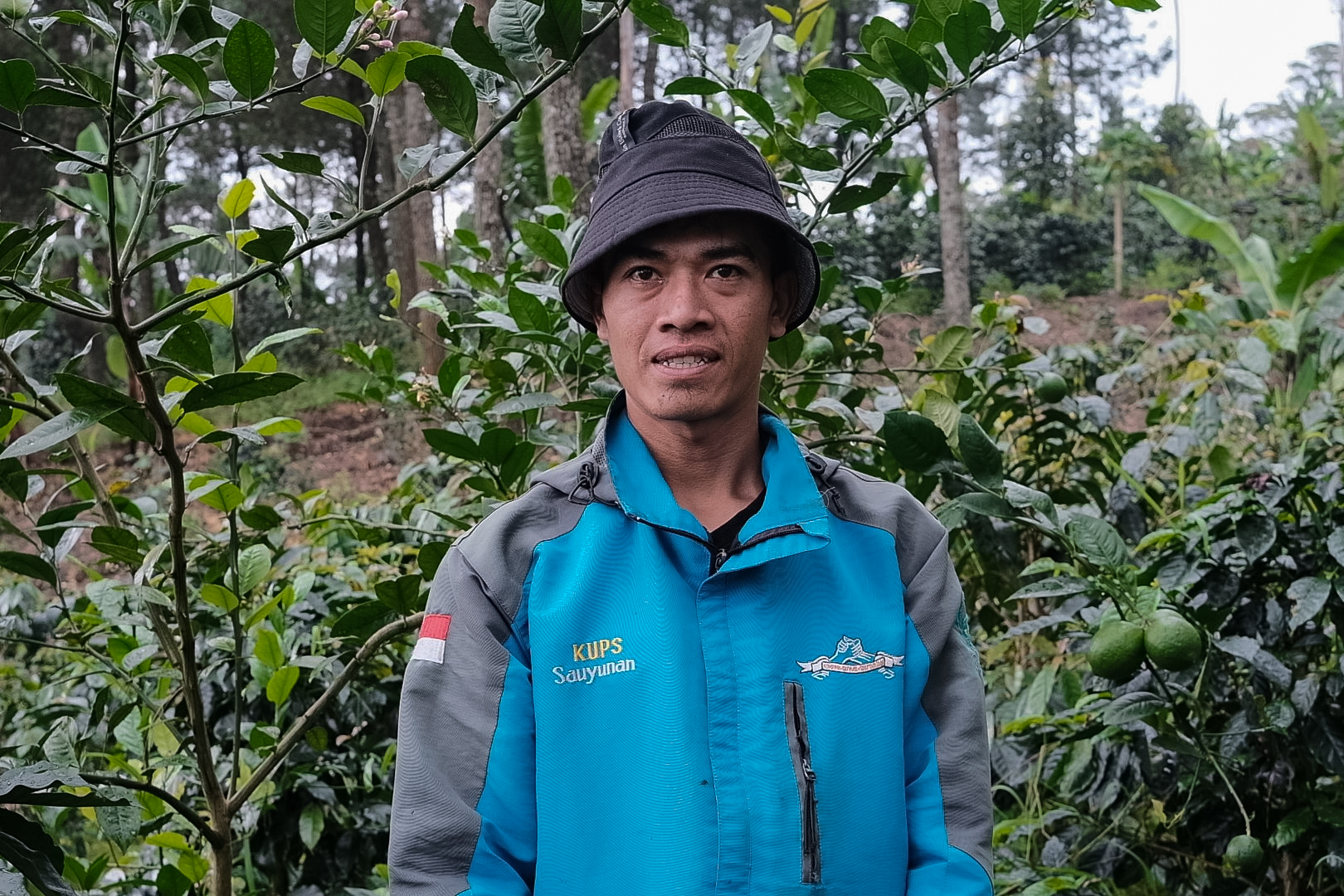 Menanti Kopi Siap Seduh dari Kebun Kamojang
