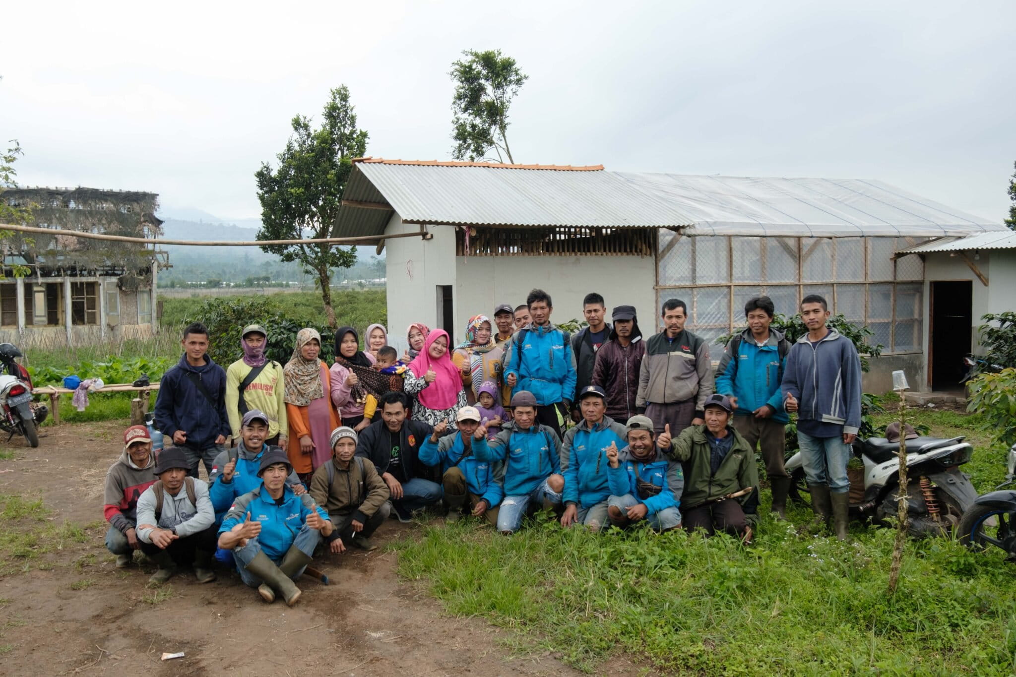 Menanti Kopi Siap Seduh dari Kebun Kamojang