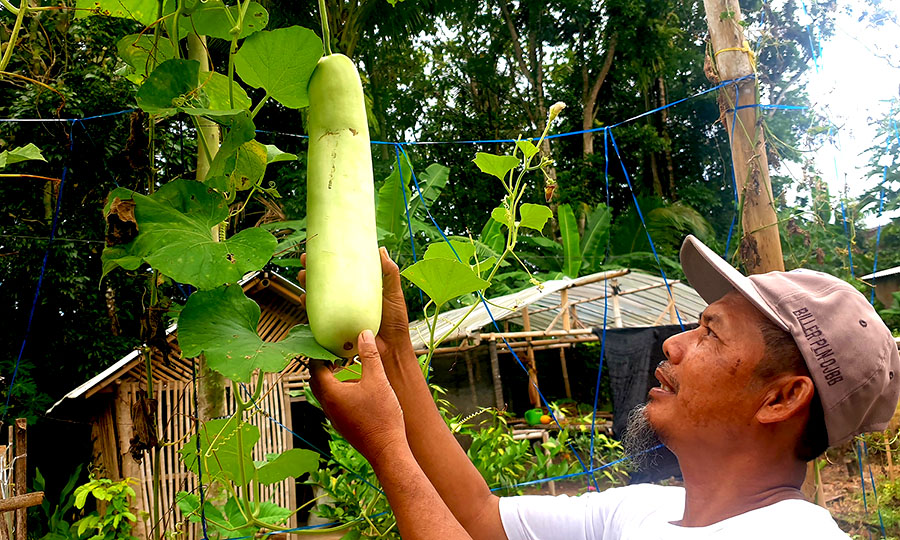 Permakultur, Solusi Pertanian Berkelanjutan?