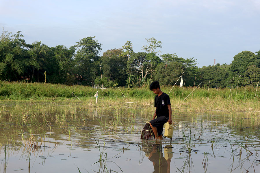 Mencari Ikan dengan Membakar Lahan, Bukan Tradisi Masyarakat Lahan ...