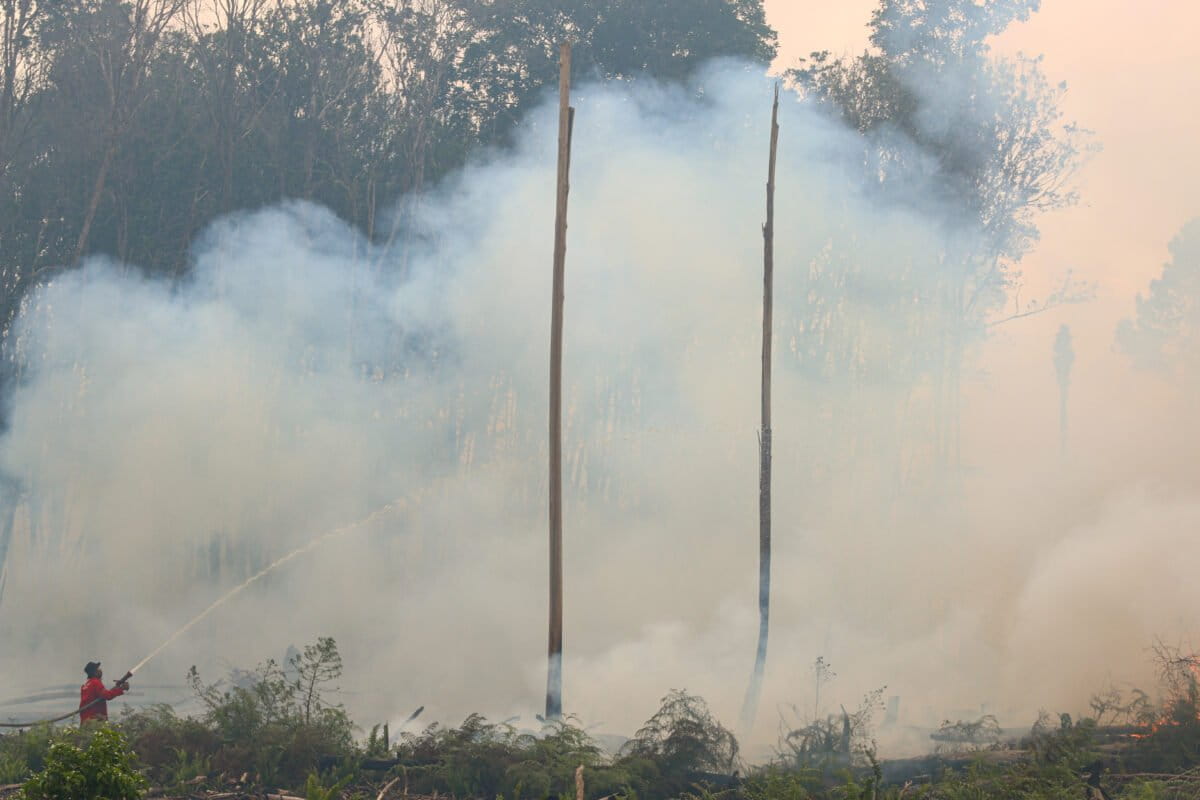 Kala Bali Siaga Darurat Kekeringan dan Kebakaran