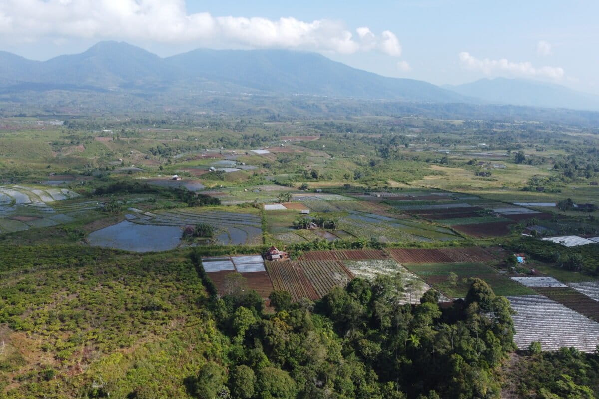 Masyarakat Semende Penuhi Energi dan Berdaulat Pangan dari Jaga Hutan