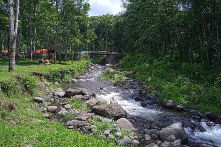 Wisata Kali Jompo Jember, Jaga Alam Sekaligus Bantu Ekonomi Masyarakat