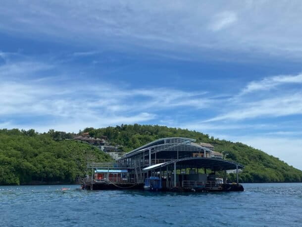 Kini Ada Demplot Restorasi Terumbu Karang Terapung di Kawasan ...