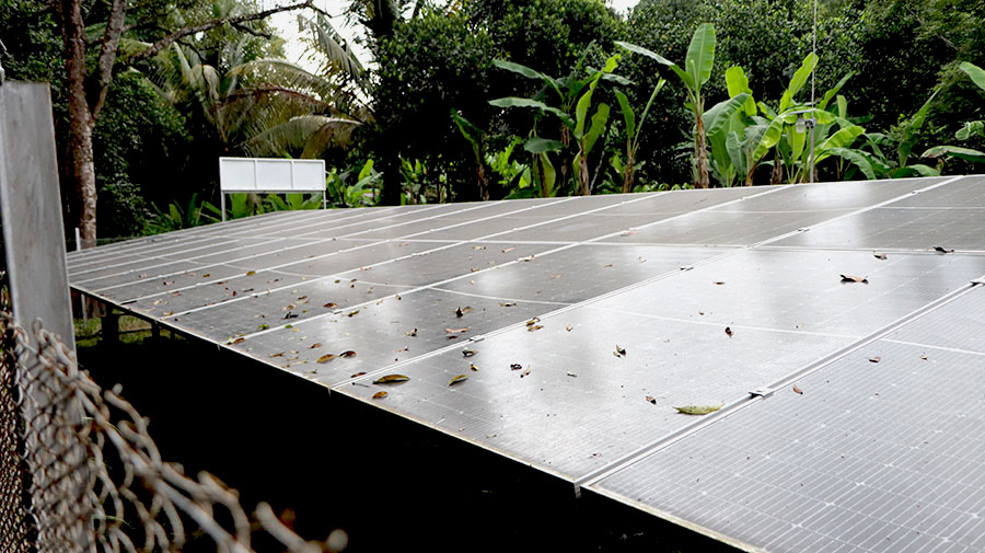 Energi Surya di Sumatera Selatan: Potensi Besar tapi Belum Dimaksimalkan