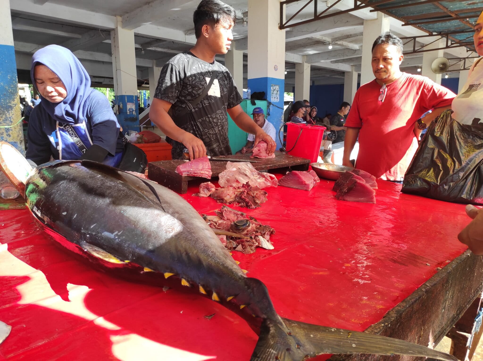 Mengapa Perikanan Tuna Berkelanjutan Itu Penting?