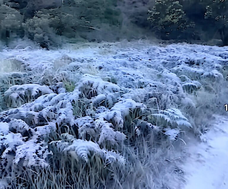 Fenomena Embun Beku Kembali Melanda Gunung Bromo dan Semeru