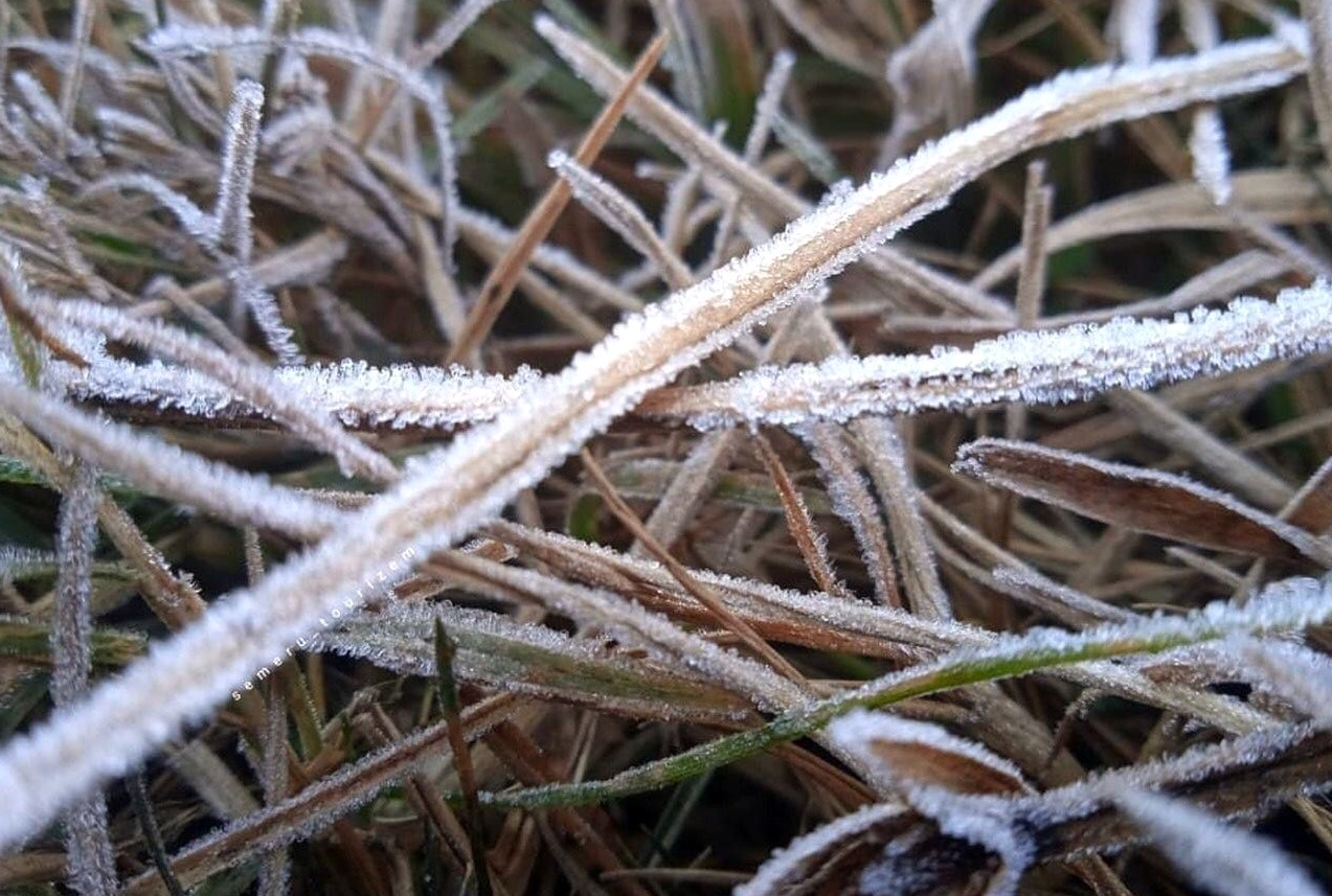 Fenomena Embun Beku Kembali Melanda Gunung Bromo dan Semeru