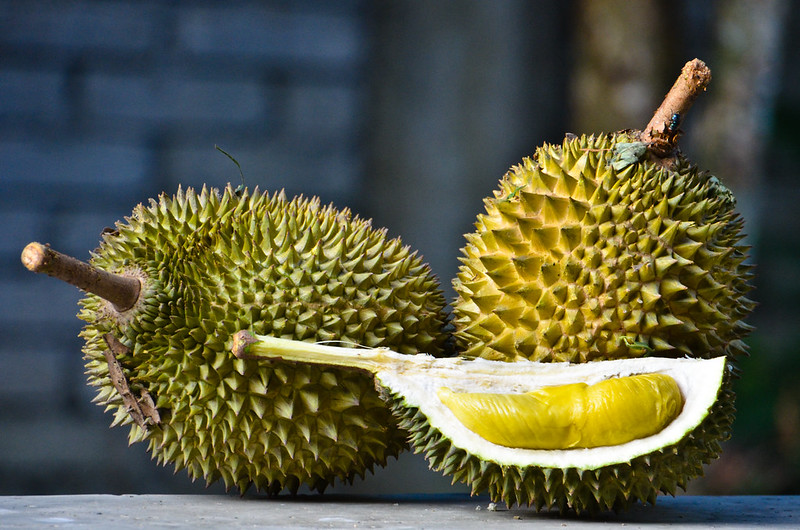 Mengapa Durian Berbau Menyengat?