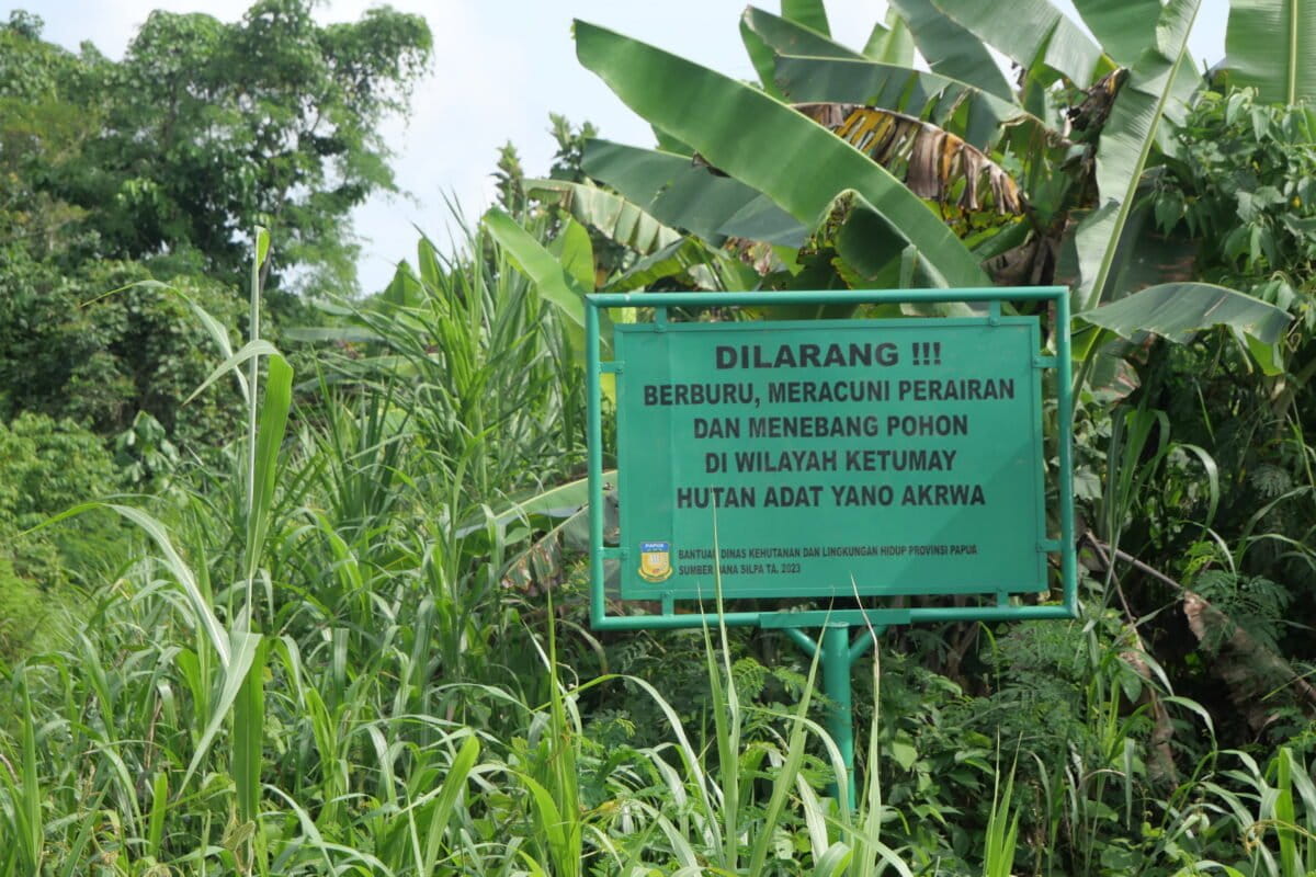 Kala Hutan Adat Yano Akrua Tumpang Tindih dengan HGU Perusahaan Sawit
