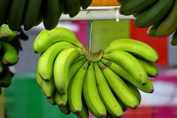 10 Fakta Unik Pisang yang Jarang Kita Ketahui