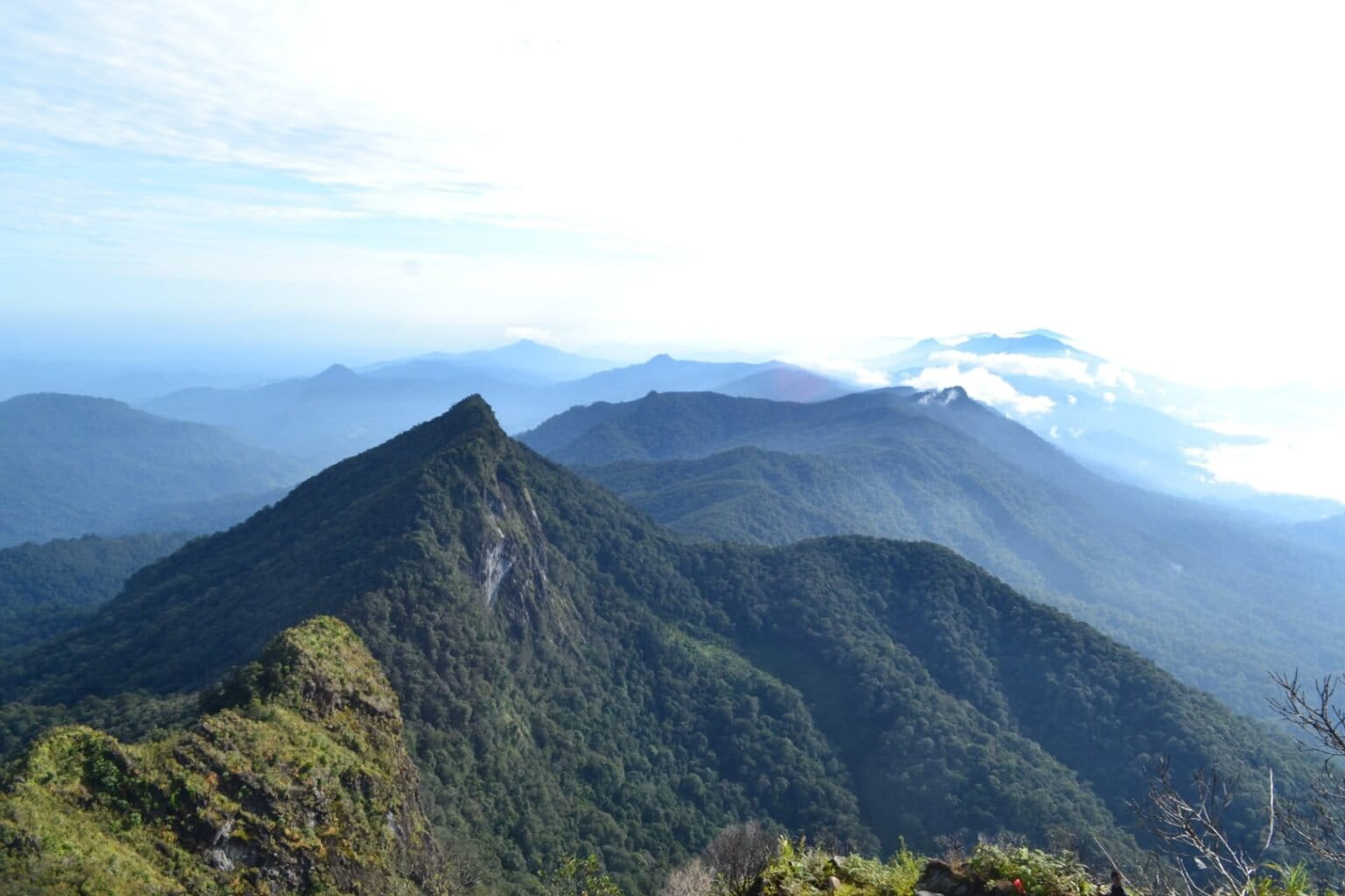 Mengenal Masyarakat Adat Dayak Meratus