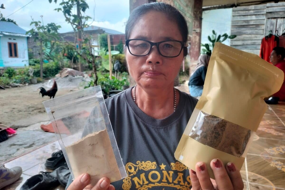 5 Fakta Tanaman Gambir yang Terancam Tambang