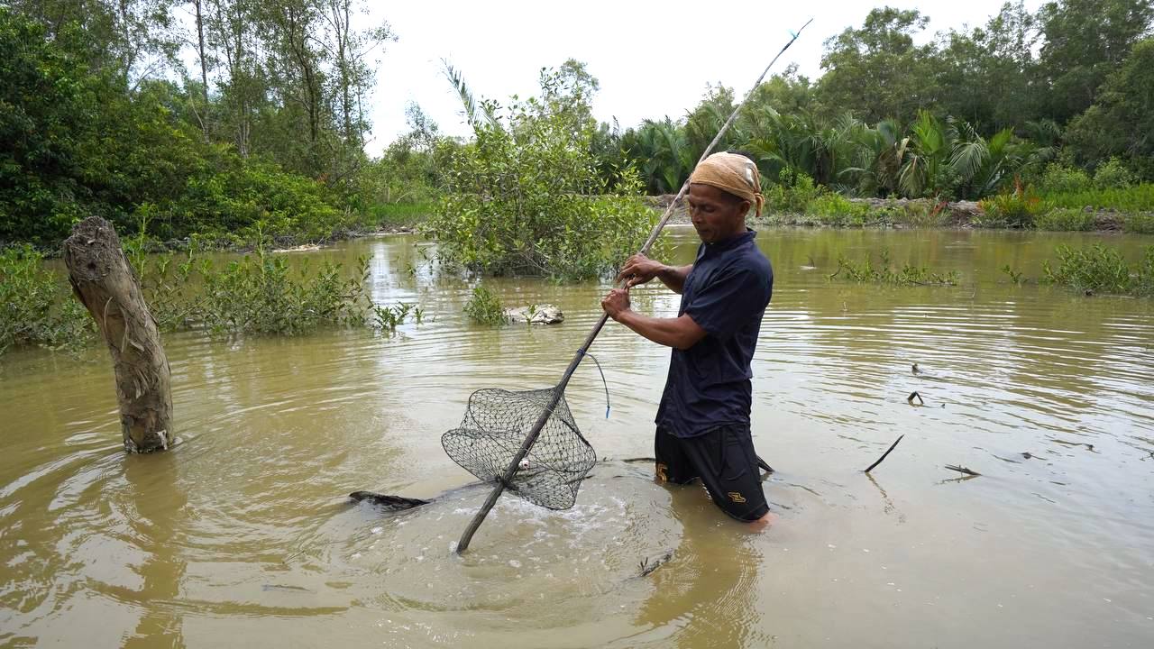 Kepiting Bakau, Sumber Ekonomi Nelayan Langkat yang Tak Lagi Memukau