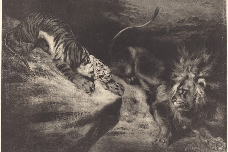 Jika Harimau Bertarung Melawan Singa, Siapa yang Akan Menang?