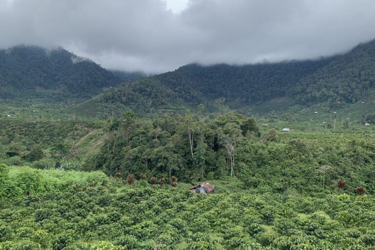 Ancaman Terselubung Pembangkit Panas Bumi Rantau Dedap [1]