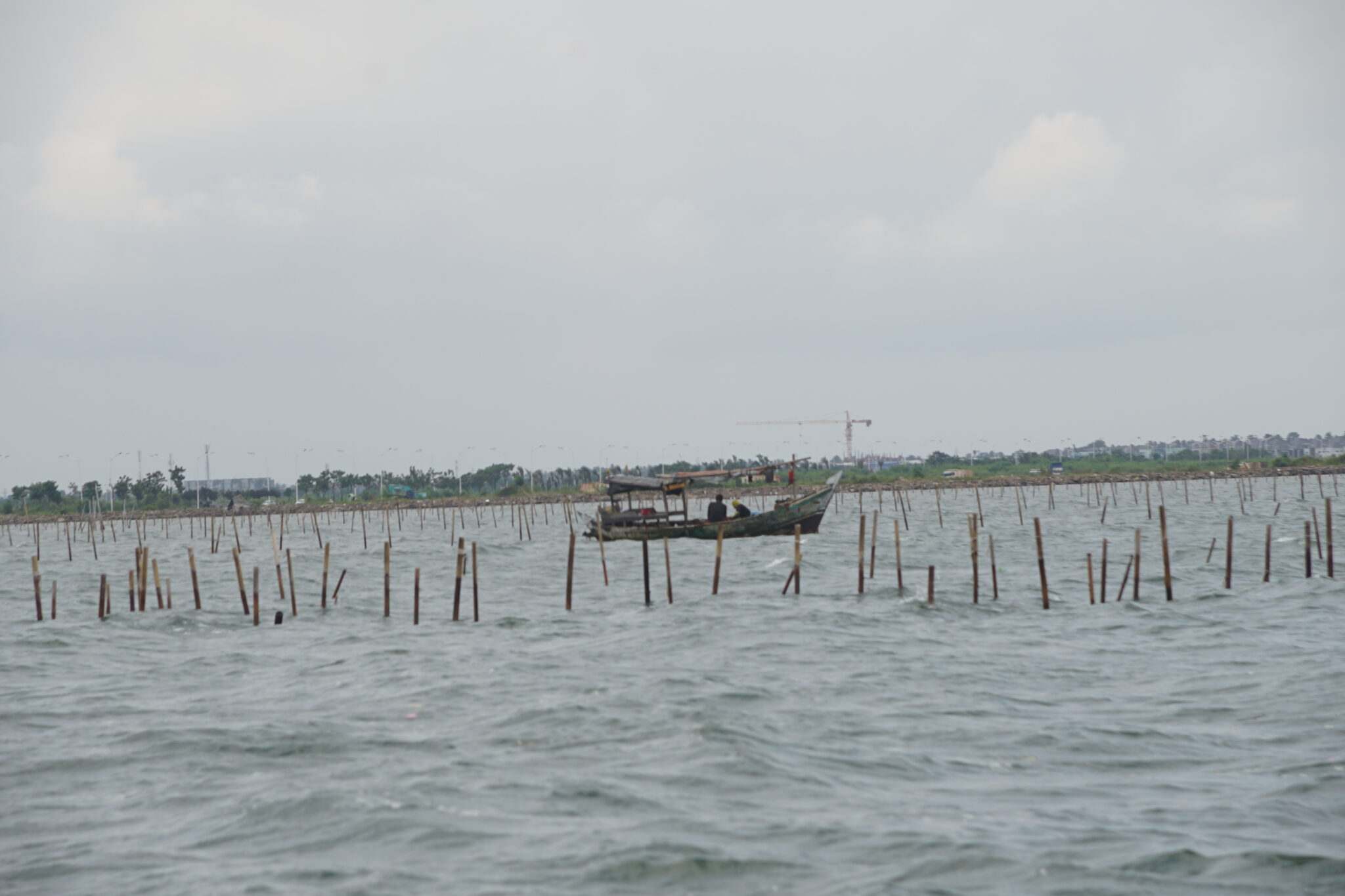 5 Fakta Pagar Laut Tangerang, Bagaimana Proses Hukumnya?