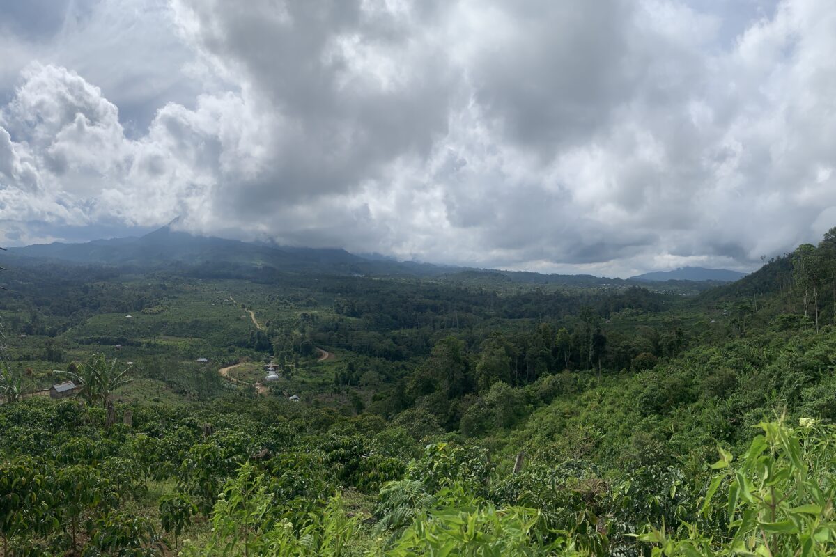 Ada Pembangkit Panas Bumi, Warga Rantau Dedap Tak Nikmati Listriknya [2]