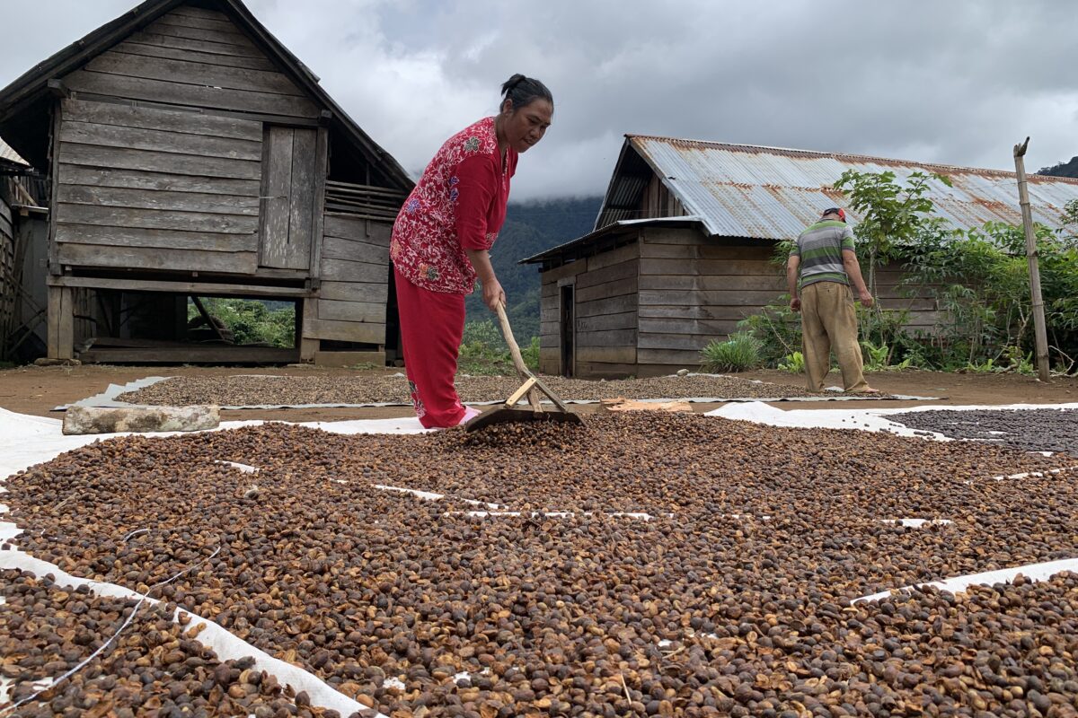 Ada Pembangkit Panas Bumi, Warga Rantau Dedap Tak Nikmati Listriknya [2]