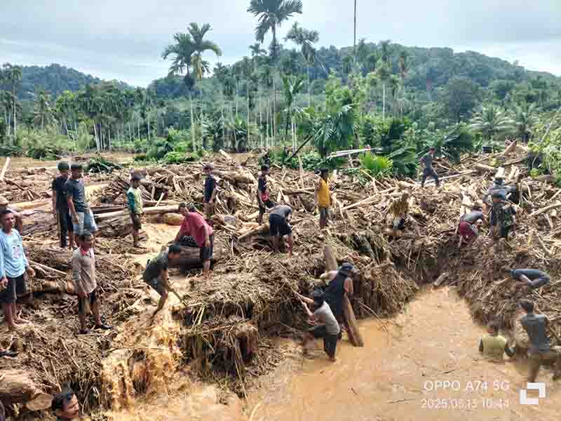 Banjir Bandang Pesisir Selatan, Perbaikan Tata Ruang?